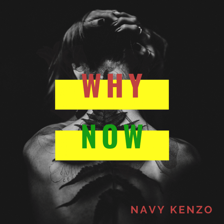 AUDIO | Navy Kenzo - Why Now | Download - DJ Mwanga