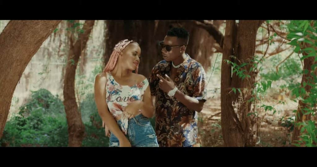 VIDEO | Plan Madini - Niroge - DJ Mwanga