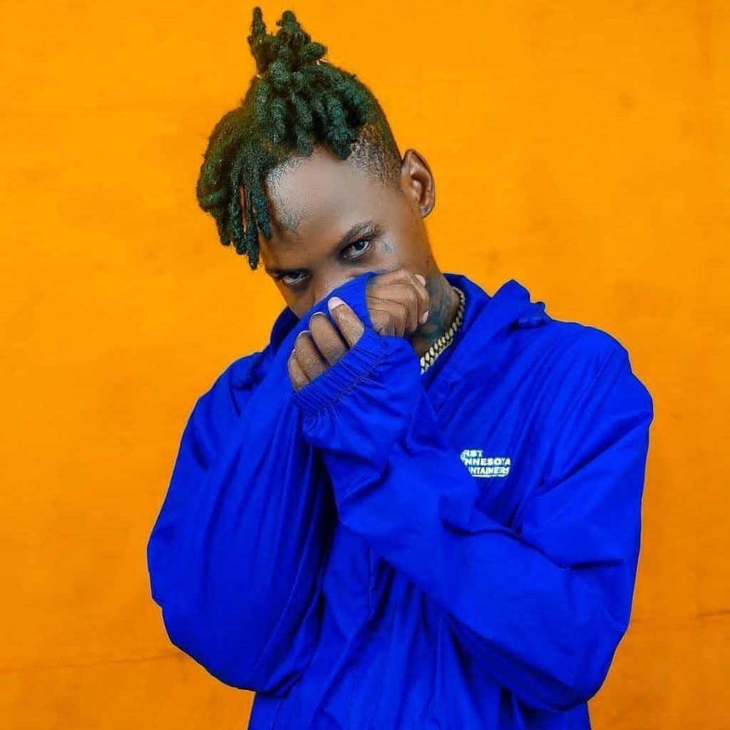 Dogo Janja All Songs - DJ Mwanga