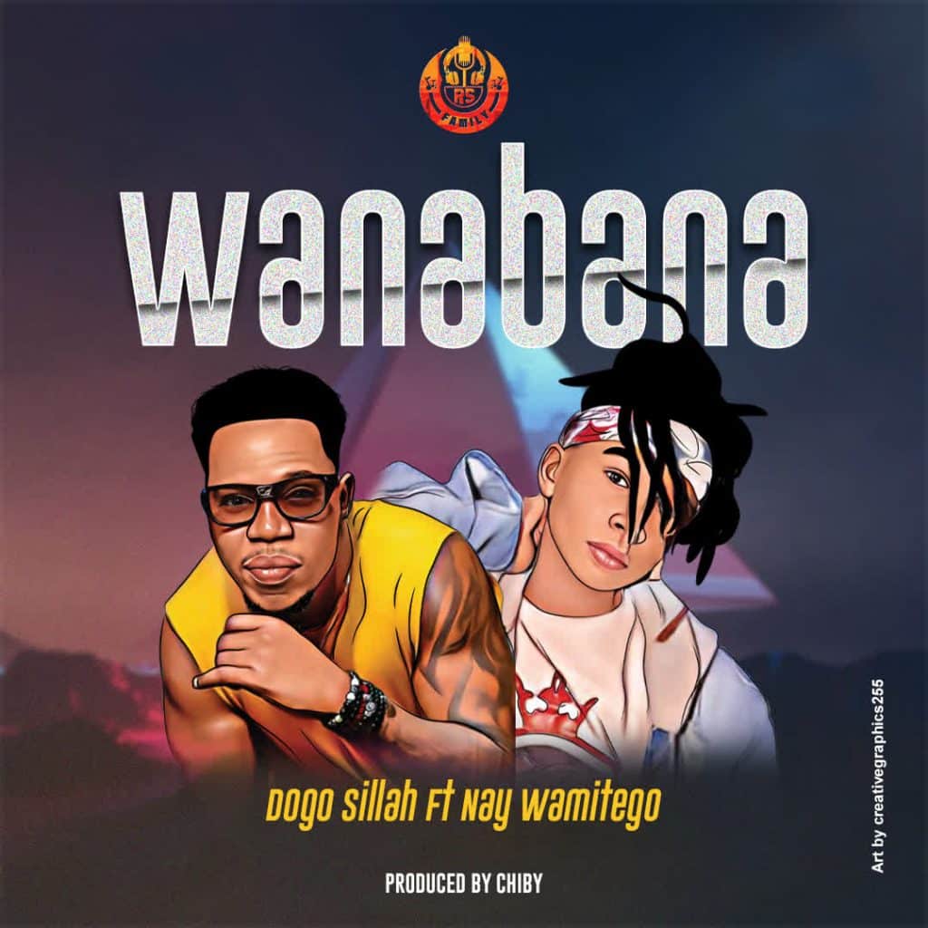 Dogo Silah All Songs - DJ Mwanga