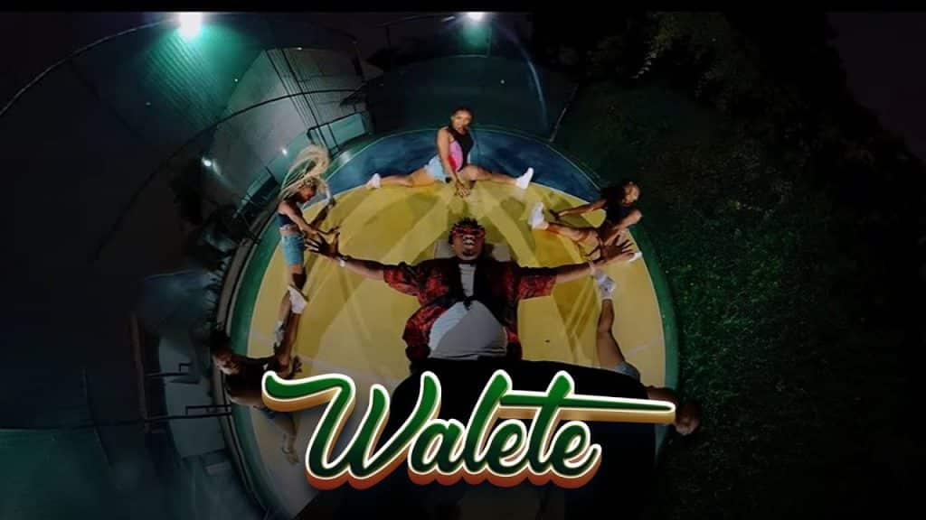 Chege All Songs - DJ Mwanga