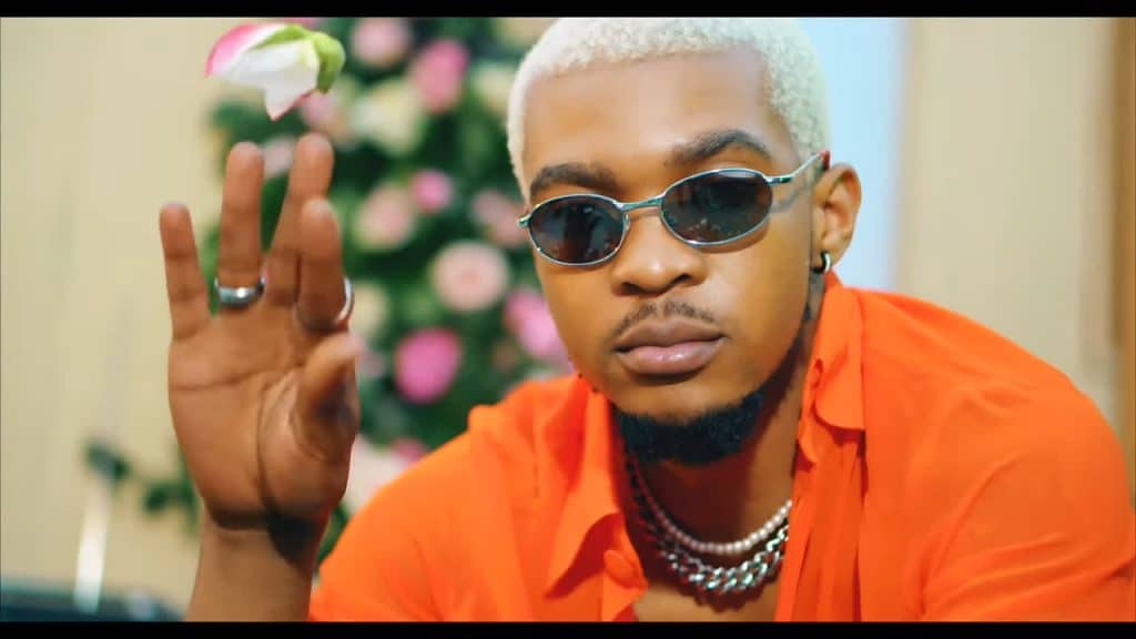 Saraphina All Songs - DJ Mwanga