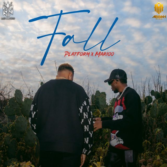 AUDIO | Platform Tz X Marioo - Fall | Download - DJ Mwanga
