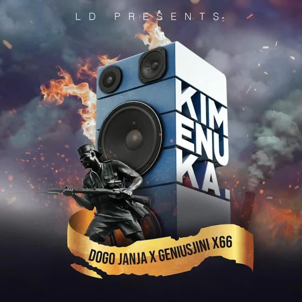 Dogo Janja All Songs - DJ Mwanga