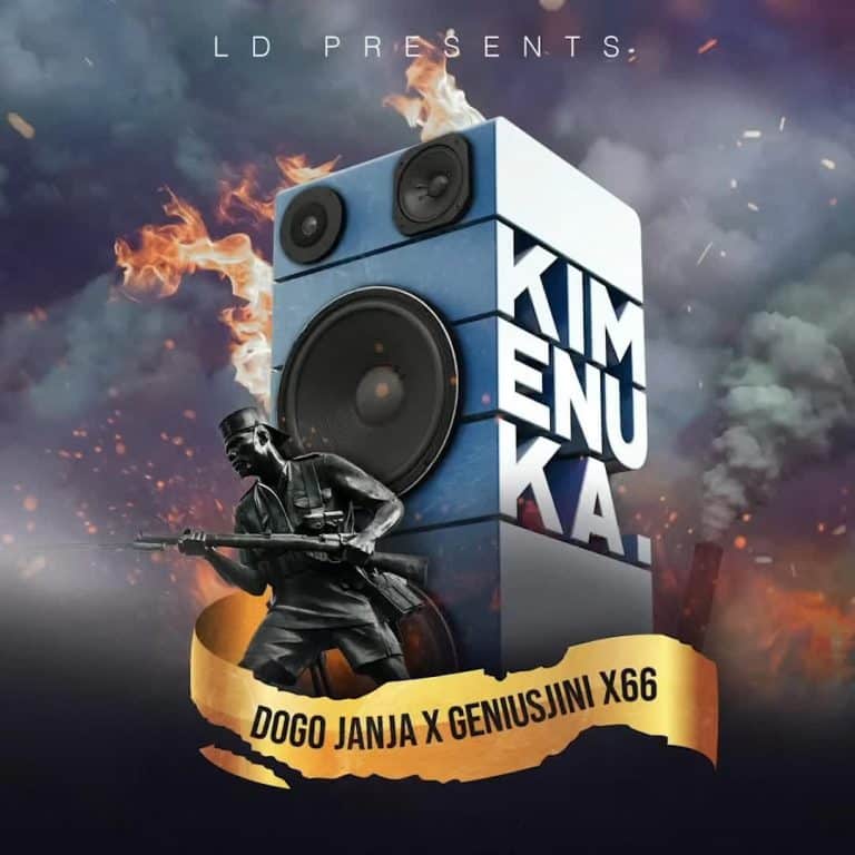 Dogo Janja All Songs - DJ Mwanga