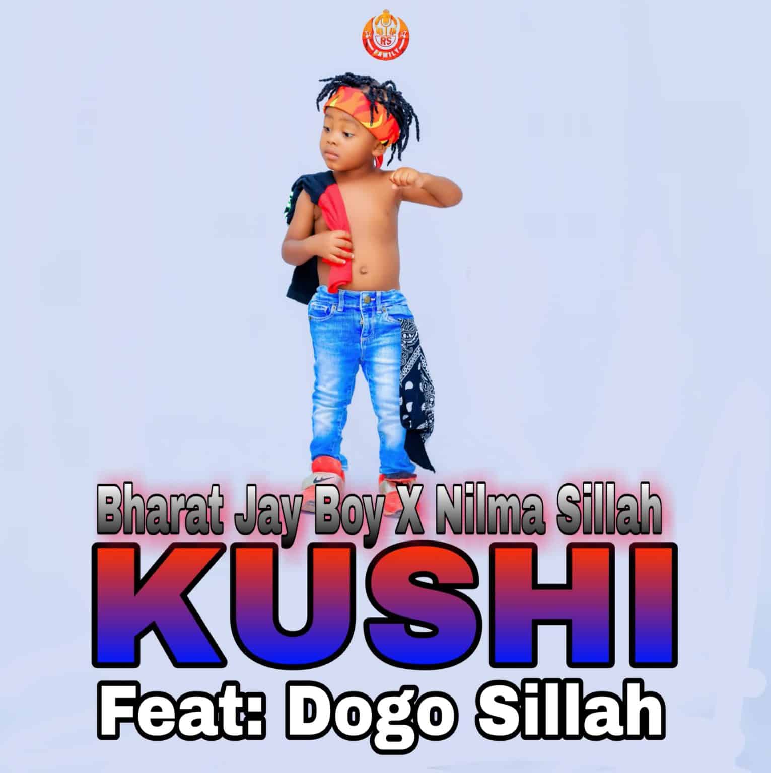 DOGO SILlAH All Songs - DJ Mwanga