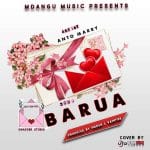BARUA All Songs - DJ Mwanga