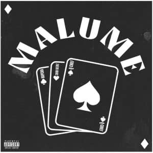 Malume All Songs - DJ Mwanga