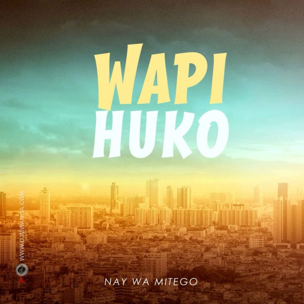 AUDIO | Nay Wa Mitego - Wapi Huko | Download - DJ Mwanga