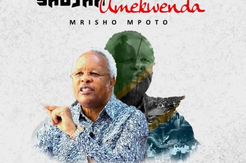 Mrisho Mpoto All Songs - DJ Mwanga