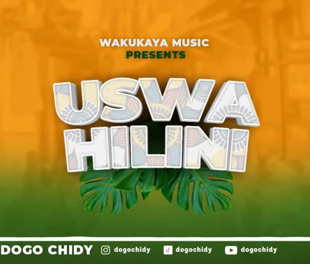 AUDIO | Dogo Chidy - Uswahilini | Download - DJ Mwanga