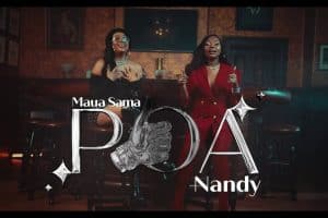 Nandy All Songs - DJ Mwanga