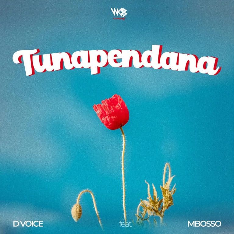 AUDIO | D Voice X Mbosso - Tunapendana | Download - DJ Mwanga