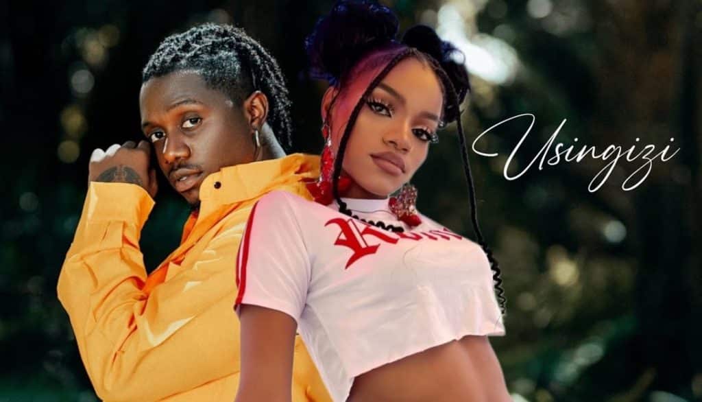 AUDIO | Rayvanny Ft. Yammi – Usingizi | Download - DJ Mwanga