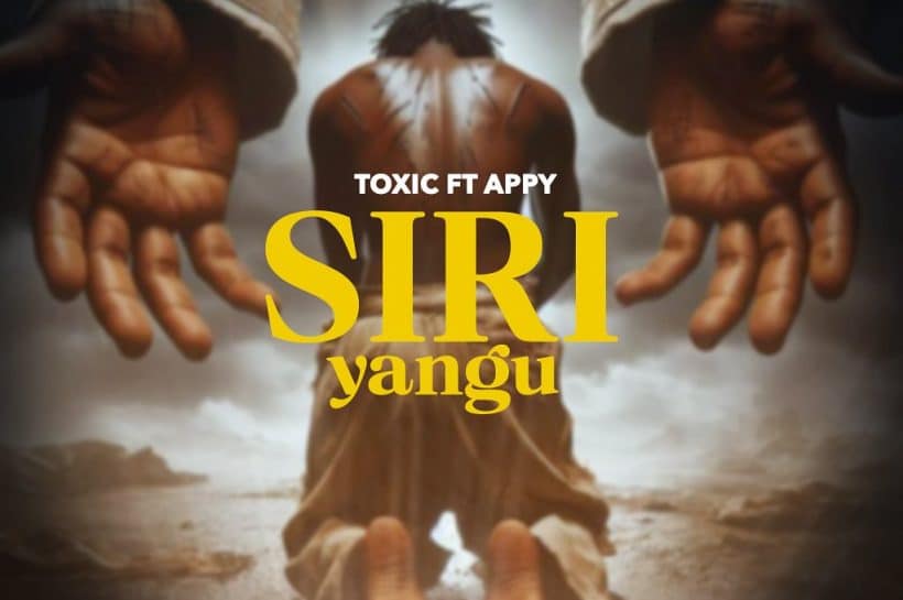 Toxic All Songs - DJ Mwanga