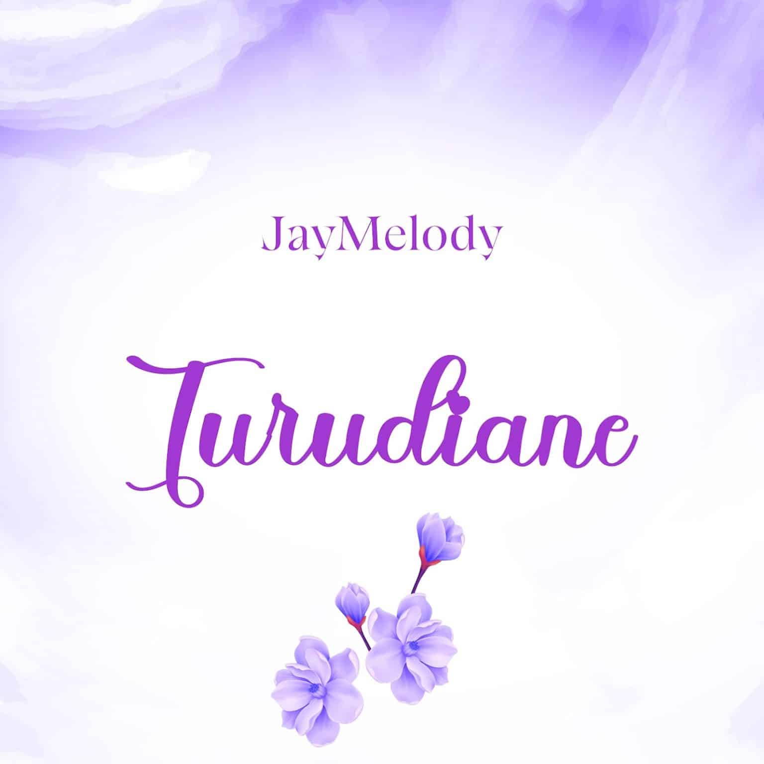 AUDIO | Jay Melody - Turudiane | Download - DJ Mwanga