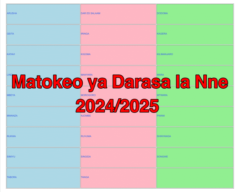 NECTA | Matokeo ya Darasa la Nne 2024/2025 - DJ Mwanga