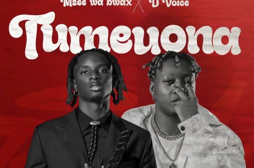 D voice All Songs - DJ Mwanga