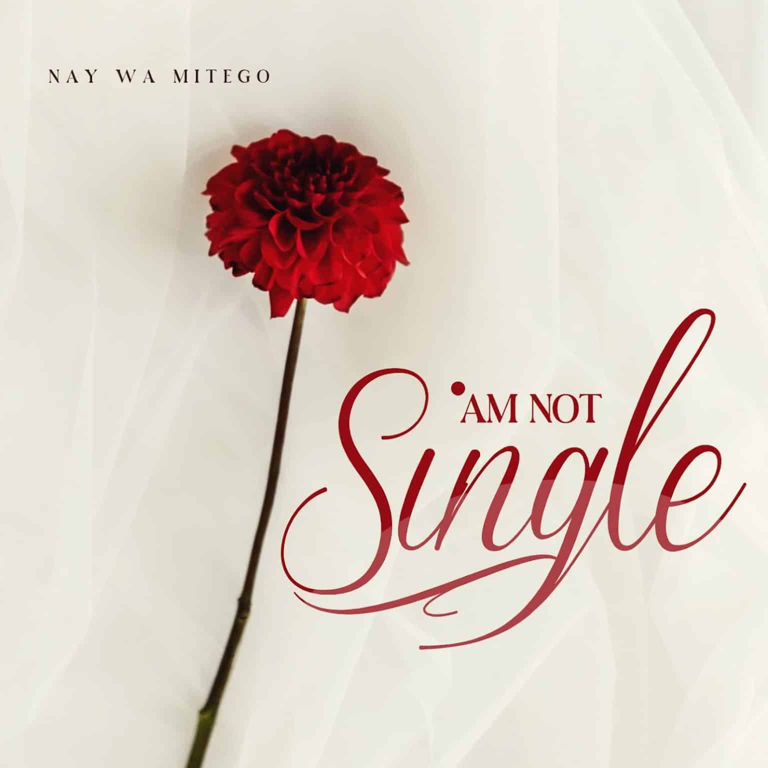 AUDIO | Nay Wa Mitego – Am Not Single | Download - DJ Mwanga
