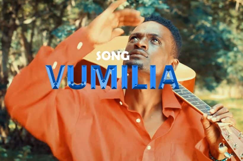 Vumilia All Songs - DJ Mwanga