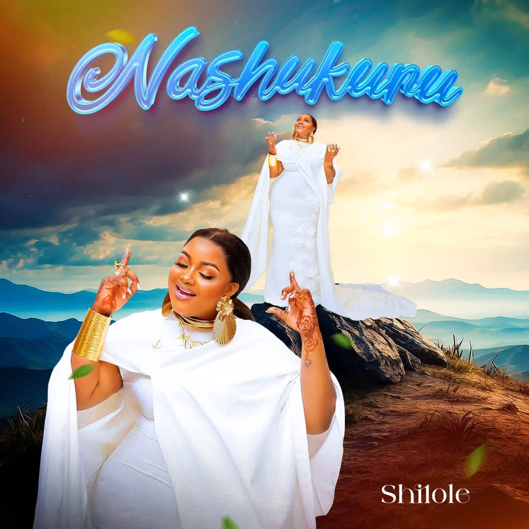 AUDIO | Shilole - Nashukuru | Download - DJ Mwanga