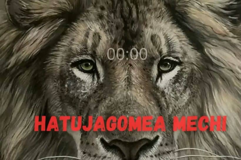 Tunda Man All Songs - DJ Mwanga