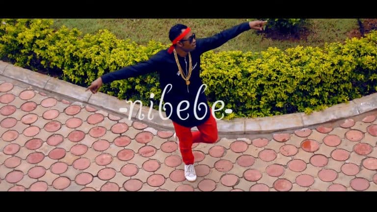 VIDEO | Dully 4 Sure - Nibebe - DJ Mwanga
