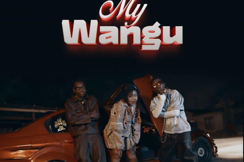 country wizzy All Songs - DJ Mwanga