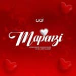 MAPENZI All Songs - DJ Mwanga
