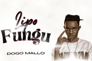 Dogo mallo All Songs - DJ Mwanga